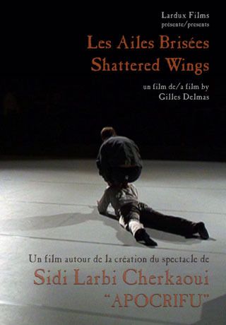 Les ailes brisées shatterd wings : Louez ou achetez en VOD, DVD et Blu ...